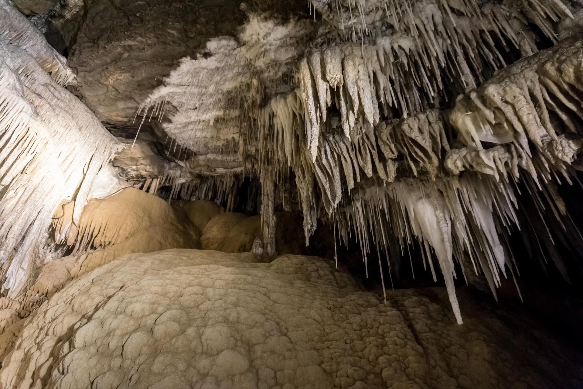 89 photos of Mole Creek Limestone Cave – Fotoref