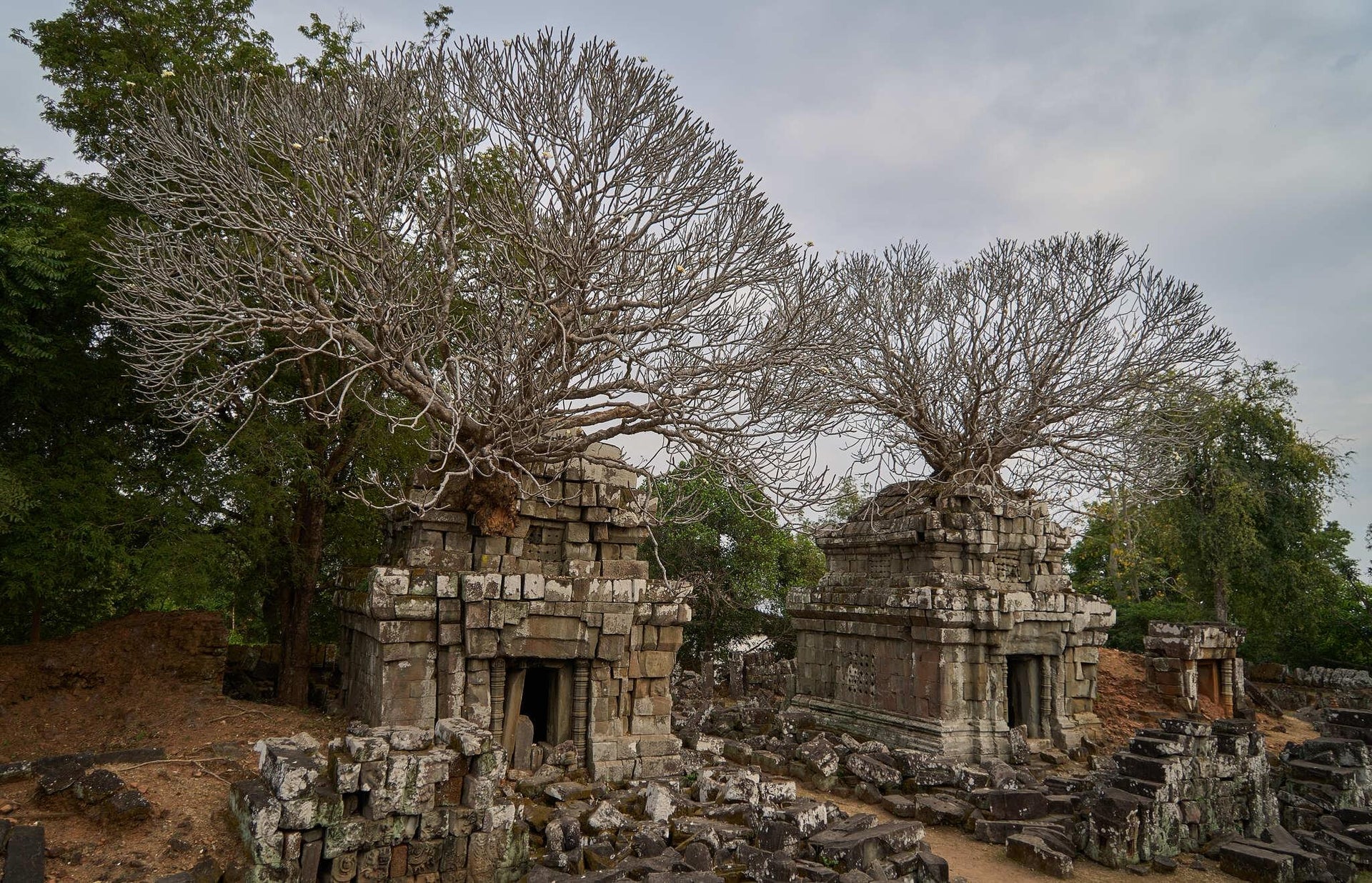 90 photos of Overgrown Towers Cambodian Temple – Fotoref