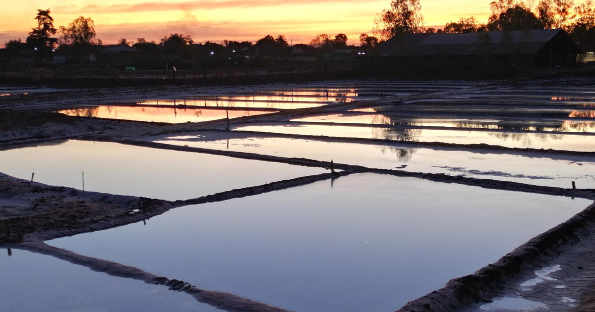 500 photos of White Salt Fields Farming – Fotoref