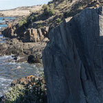 203 photos of Spiky Rocks Beach – Fotoref