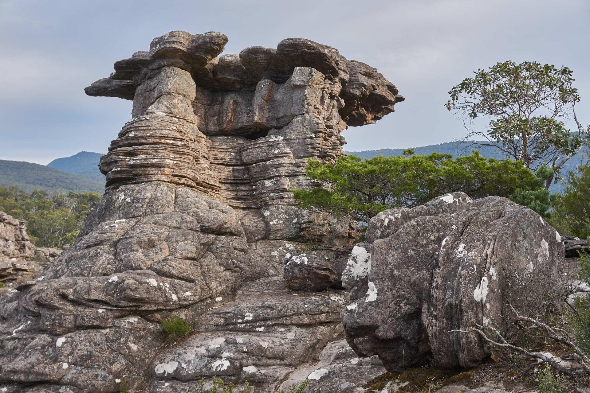 193 photos of Bulging Boulders Track – Fotoref