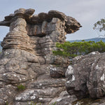 193 photos of Bulging Boulders Track – Fotoref