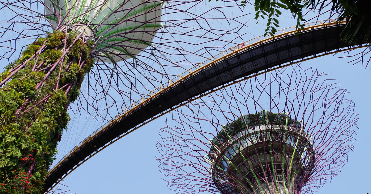 255 photos of Giant Tree Garden Structures – Fotoref