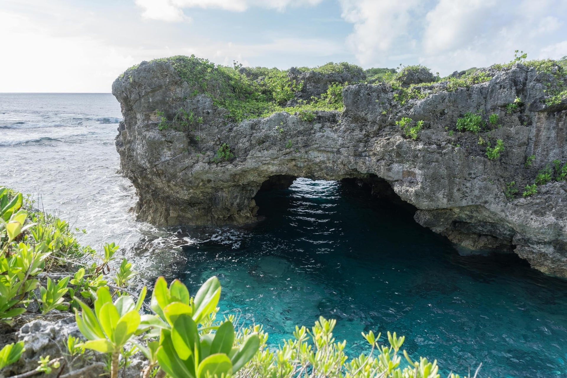 160 photos of Coral Cliffs Cove – Fotoref