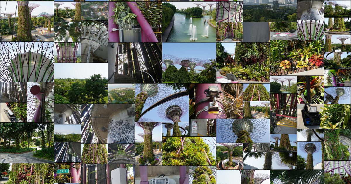 255 photos of Giant Tree Garden Structures – Fotoref