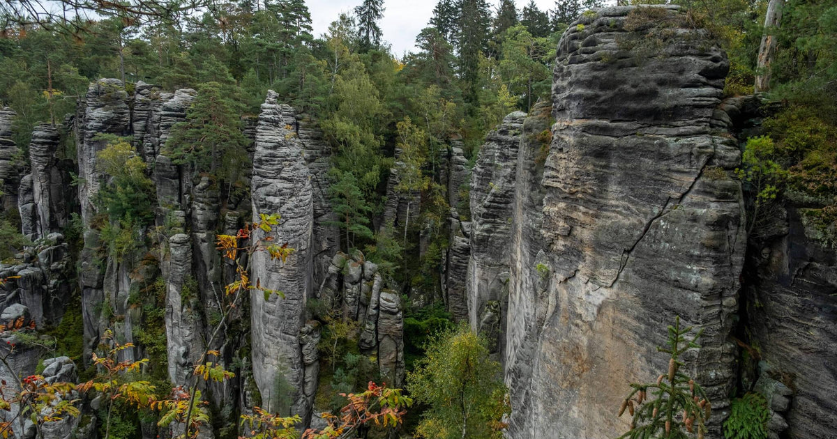 298 photos of Rock Pillar Forest – Fotoref