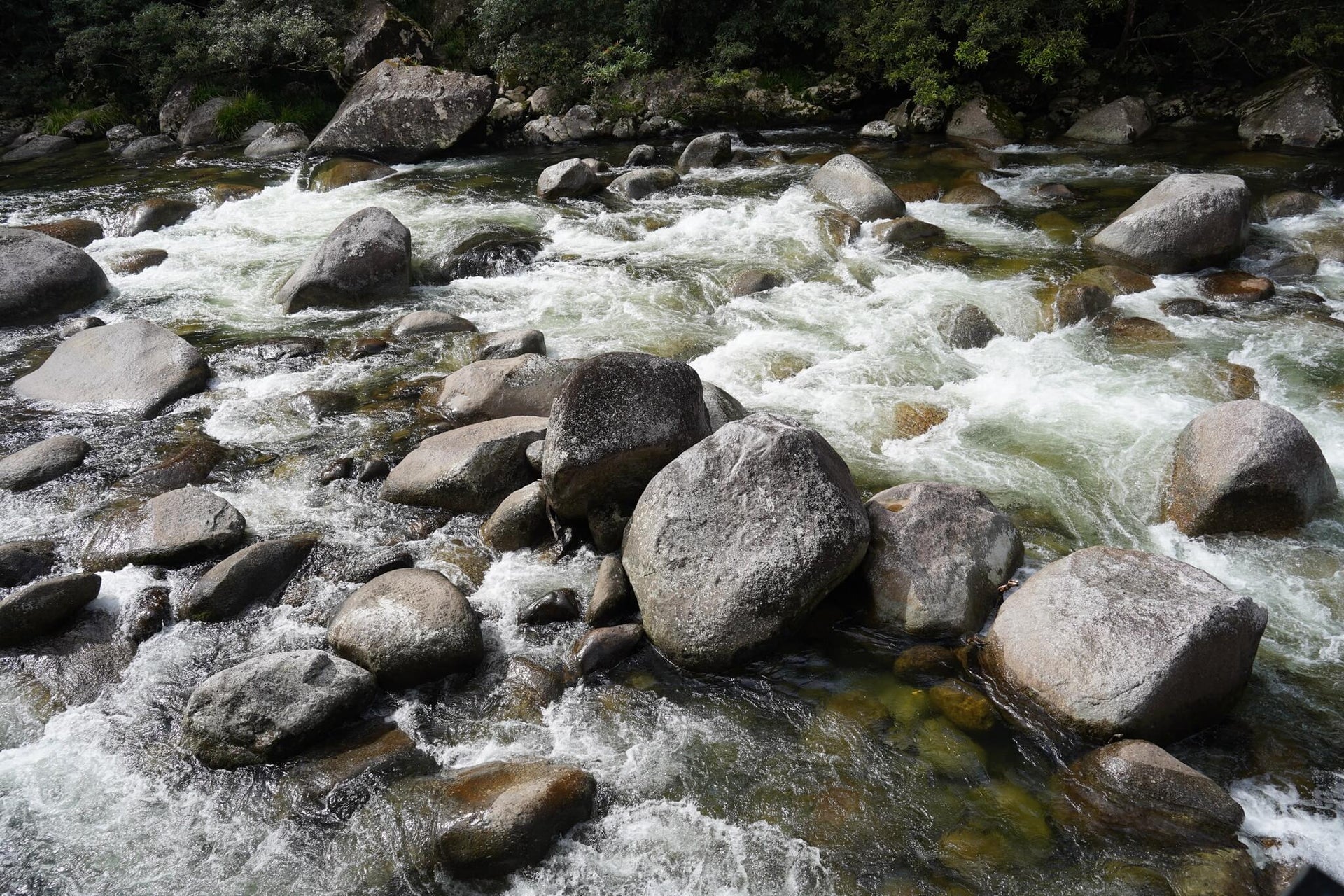 210 photos of Light Green Shallow Stream – Fotoref