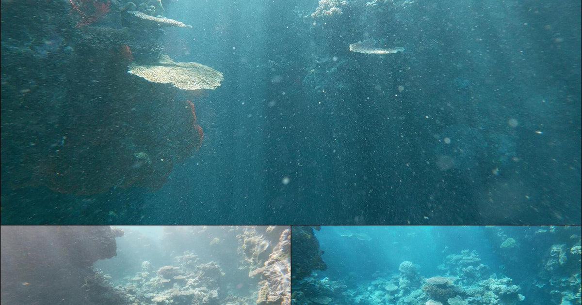 182 photos of Coral Reef Caverns – Fotoref