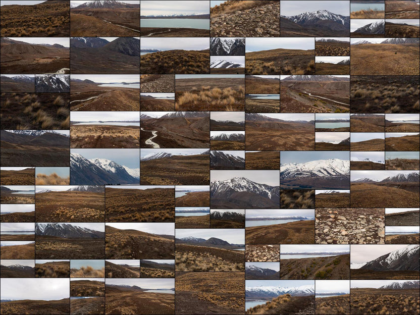 346 Photos Of Tussock Grasslands Fotoref