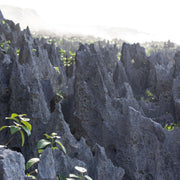 160 photos of Coral Cliffs Cove – Fotoref