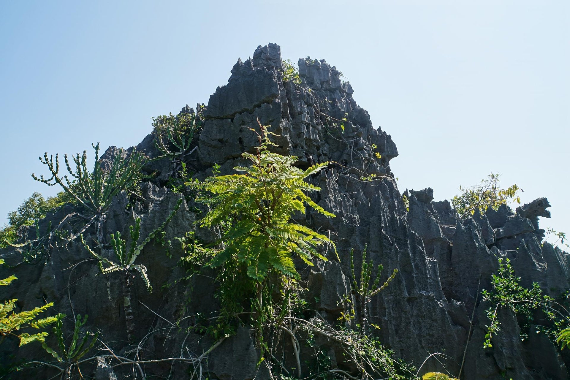 164 photos of Inner Island Lagoon – Fotoref