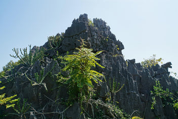 164 photos of Inner Island Lagoon – Fotoref