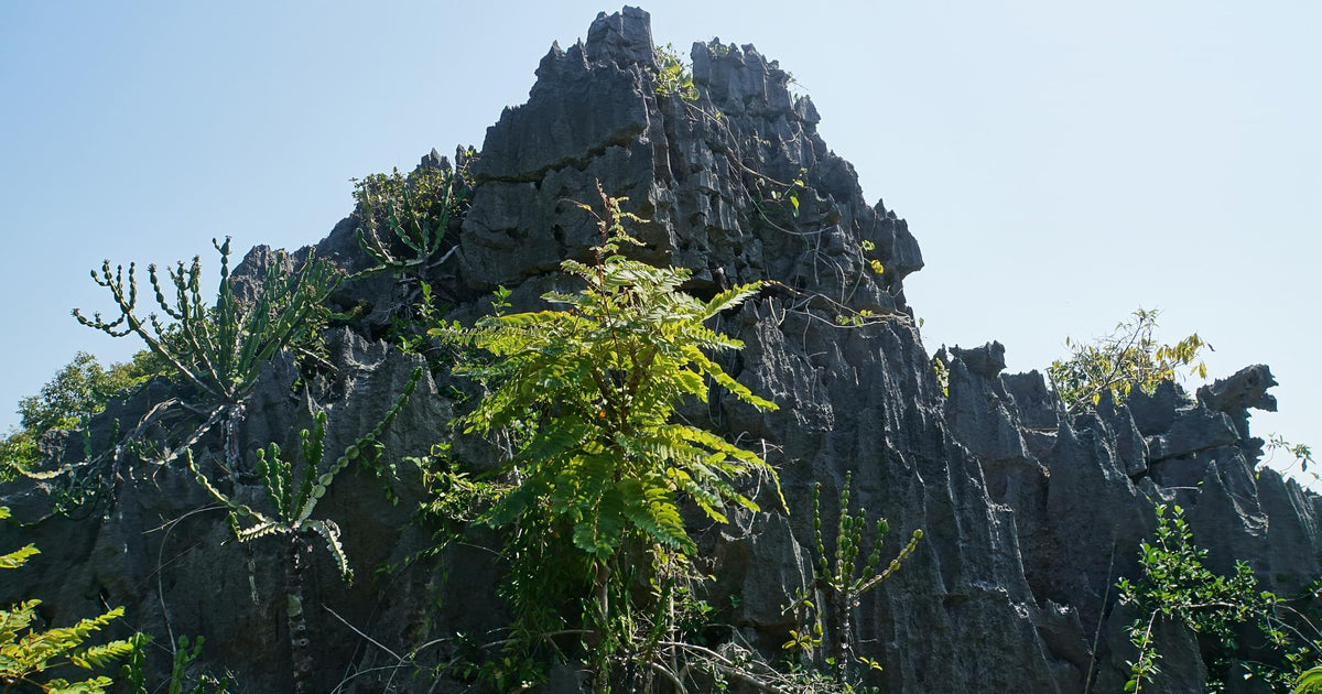 164 photos of Inner Island Lagoon – Fotoref