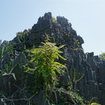 164 photos of Inner Island Lagoon – Fotoref