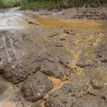 341 photos of Mud Road – Fotoref