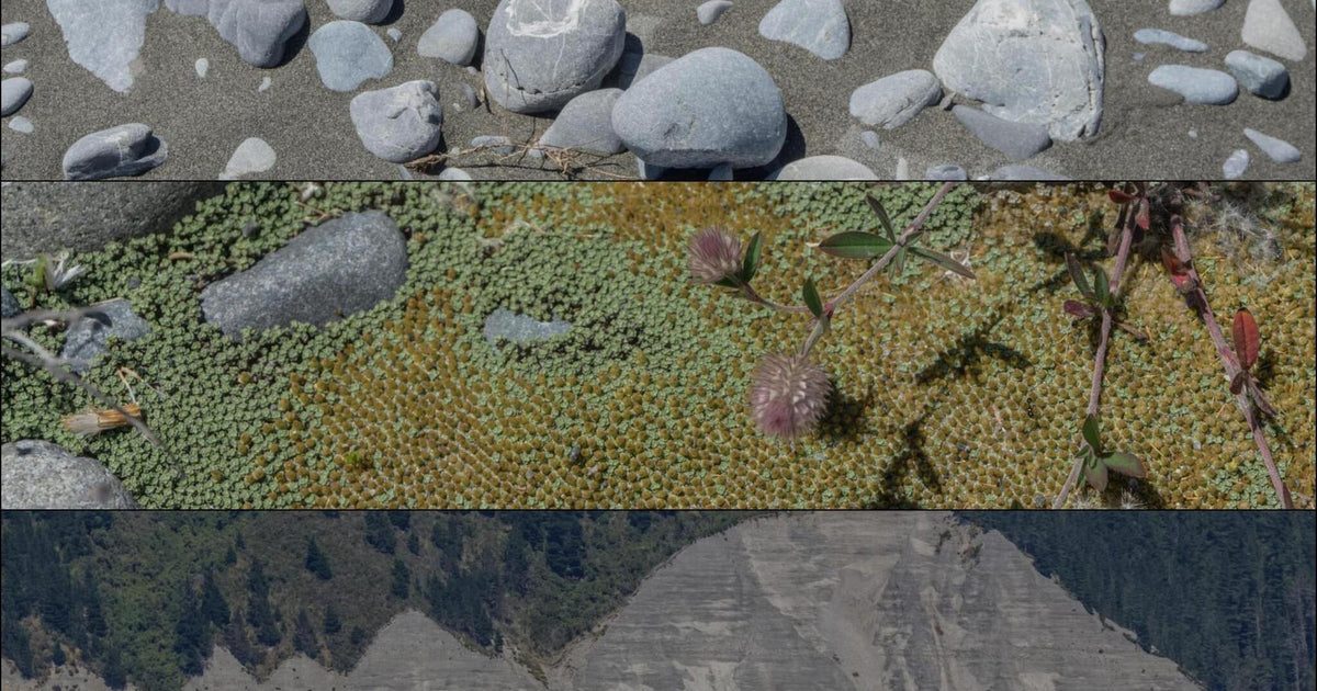 224 photos of Pebble Valley – Fotoref