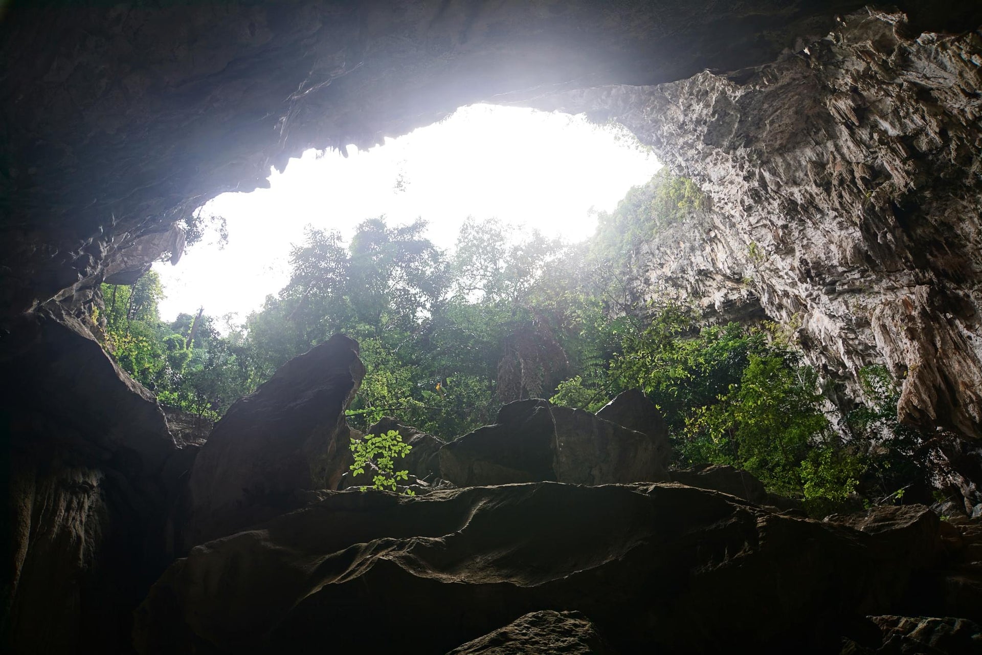207 photos of Tropical Cave – Fotoref