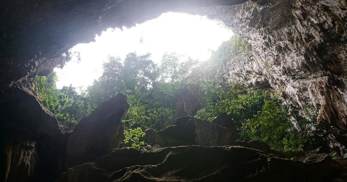 207 photos of Tropical Cave – Fotoref