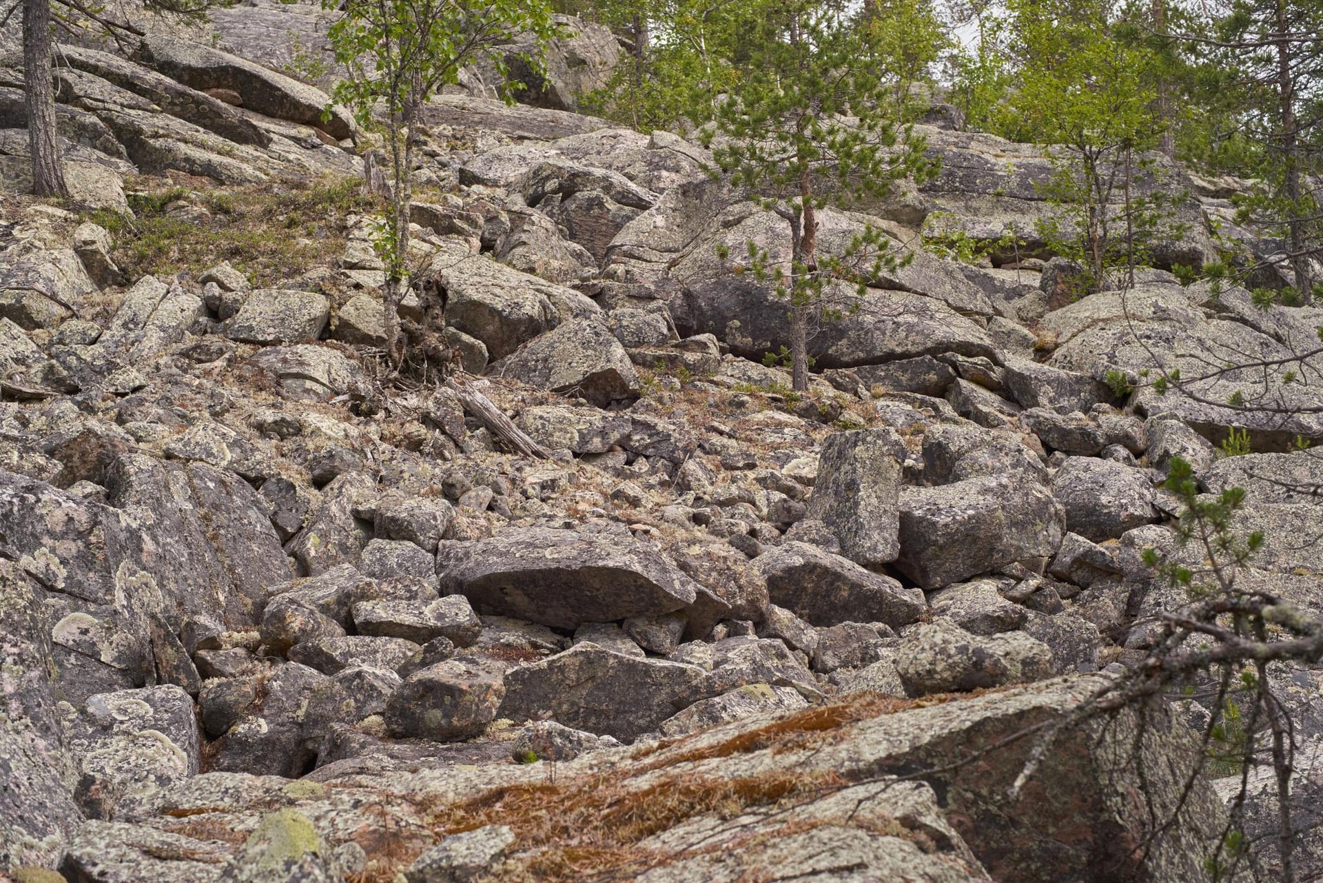 399 photos of Nordic rocks and bedrock – Fotoref