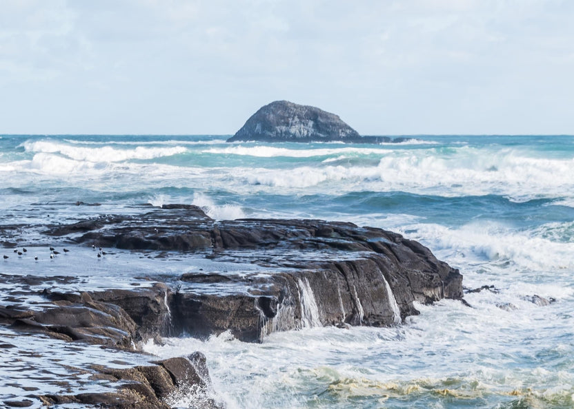 347 photos of Ocean Coast – Fotoref