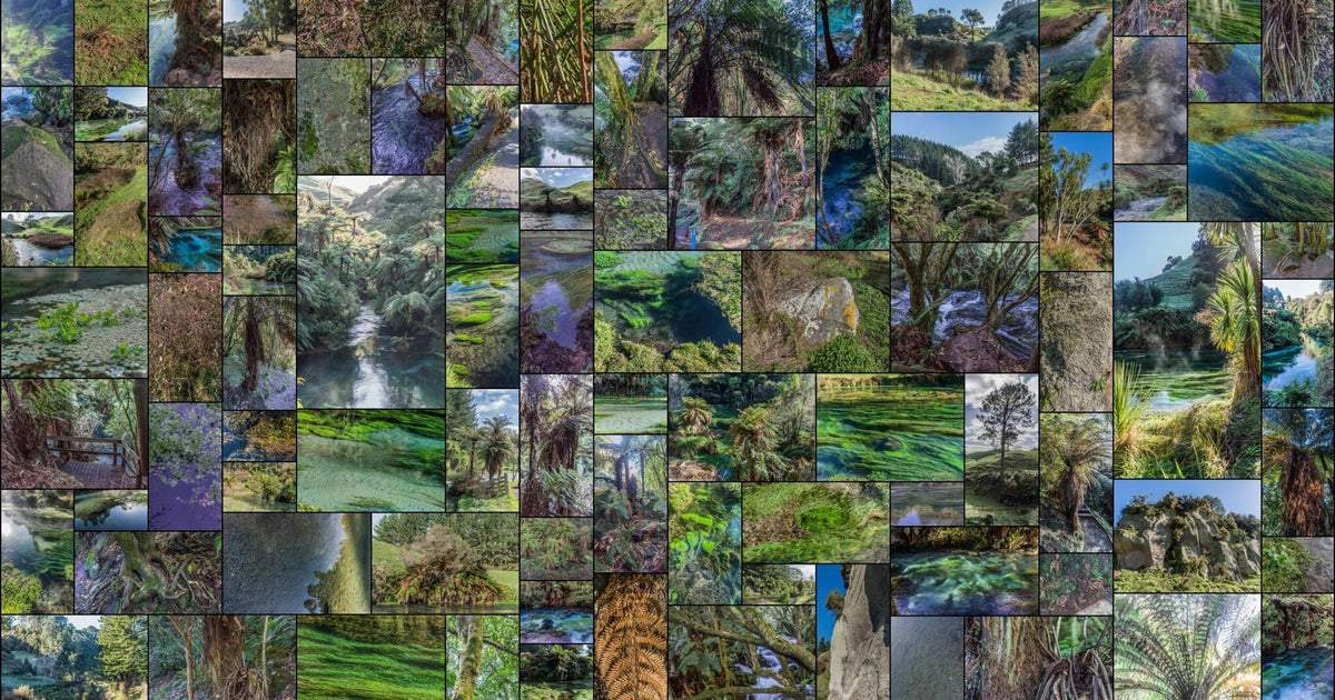 464 photos of Blue Spring – Fotoref