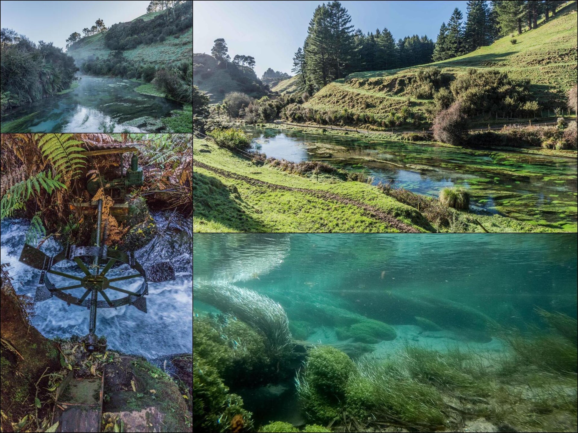 464 photos of Blue Spring – Fotoref