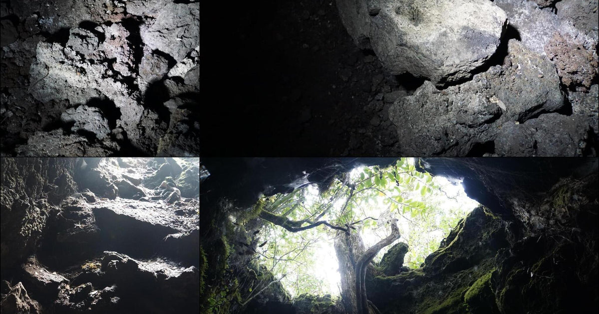 103 photos of Lava Cave – Fotoref