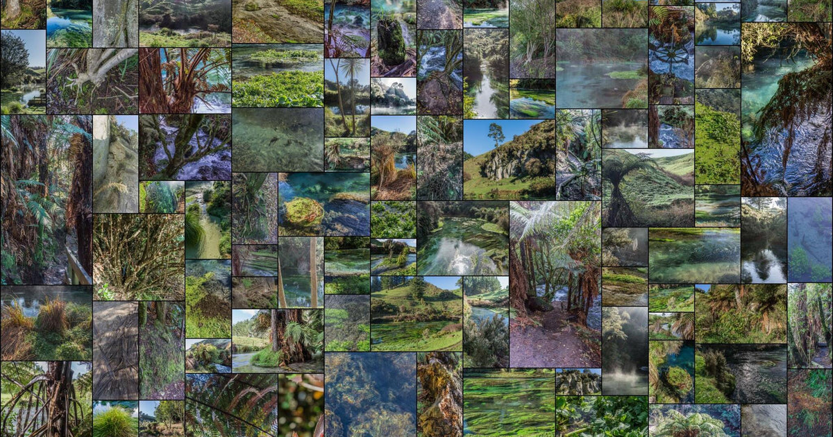 464 photos of Blue Spring – Fotoref