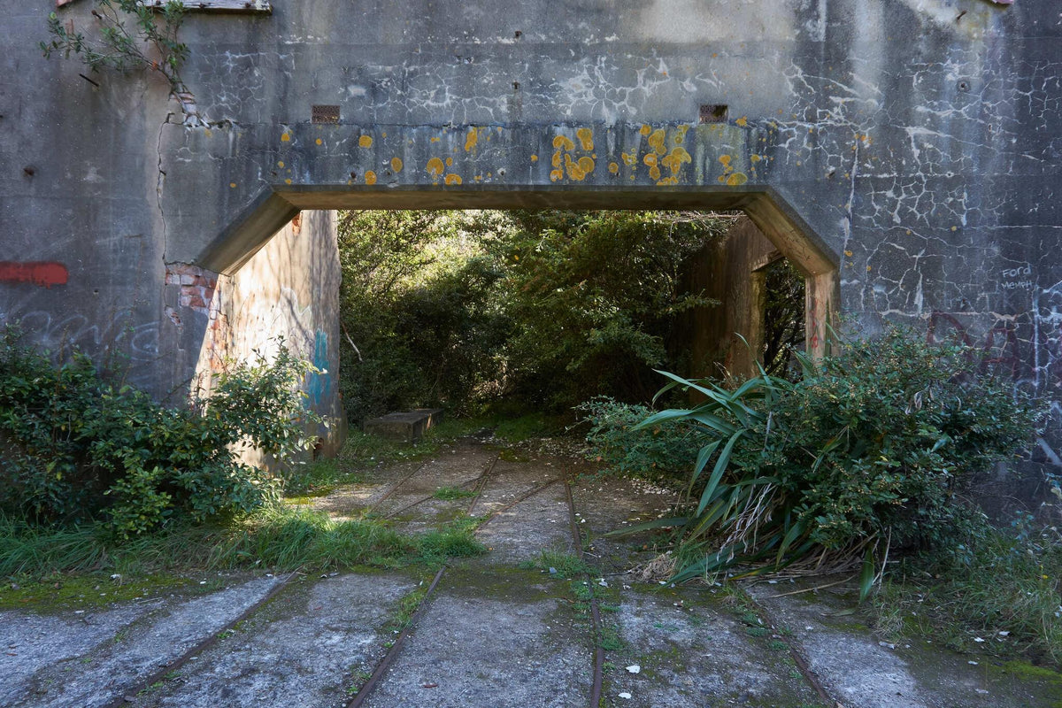 231 photos of Abandoned Industrial Complex – Fotoref