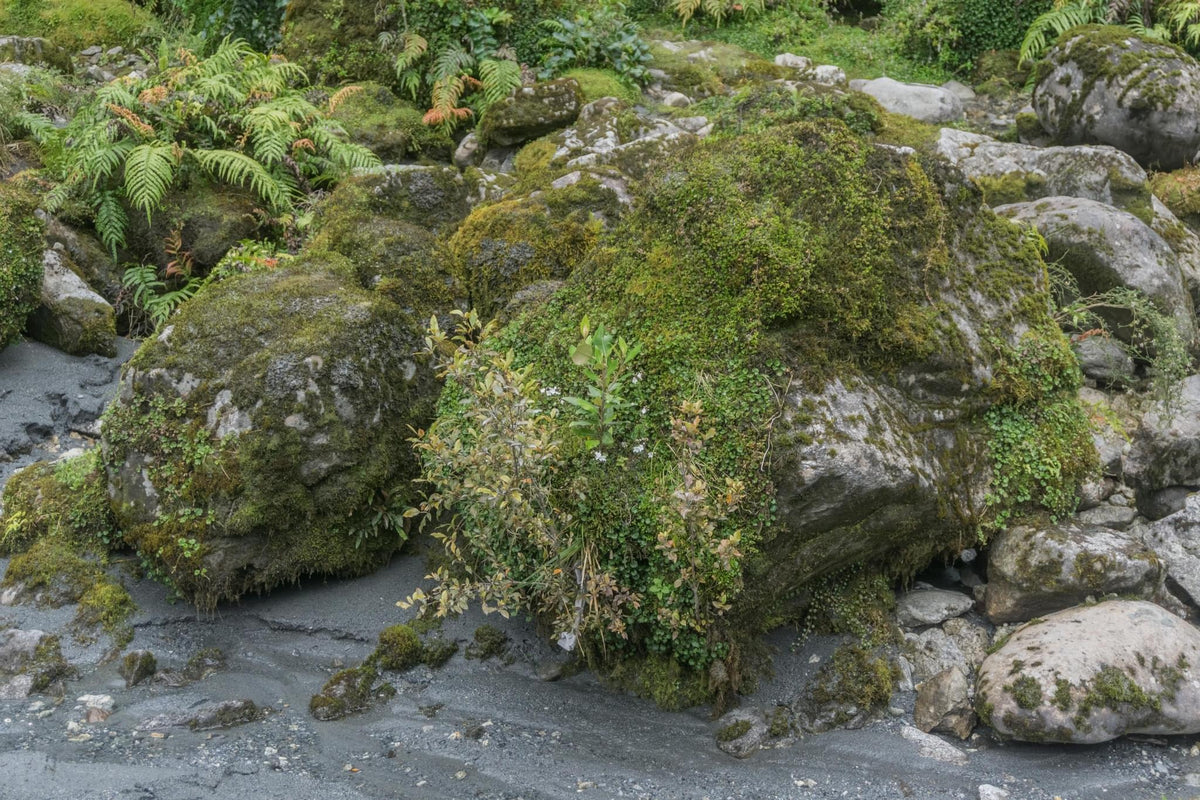 206 photos of Milky Cyan River – Fotoref