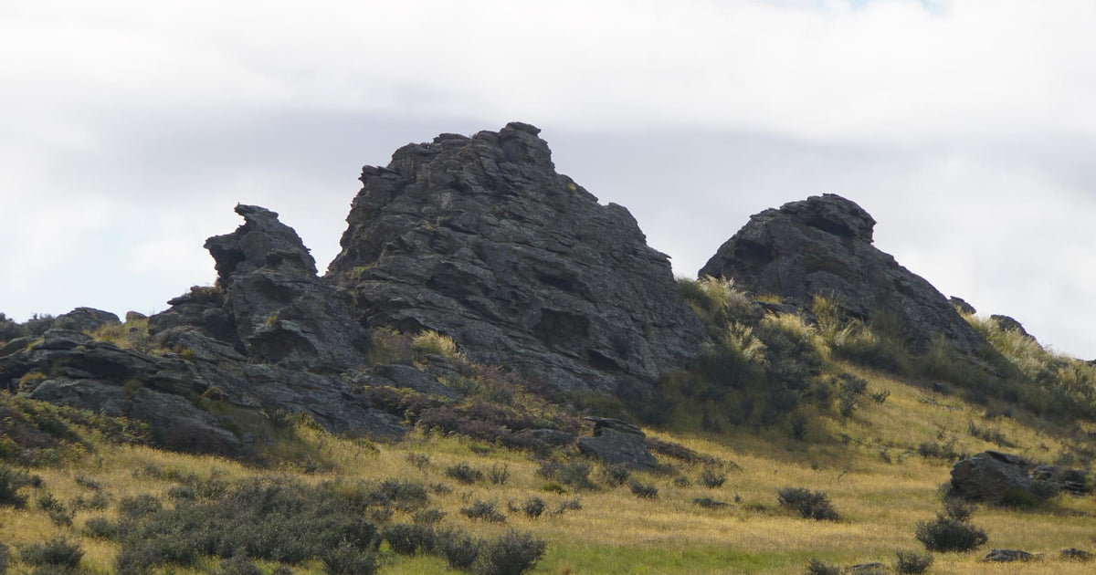 193 photos of Dry Field Rocks – Fotoref