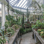 279 photos of Historical Gentry House – Fotoref