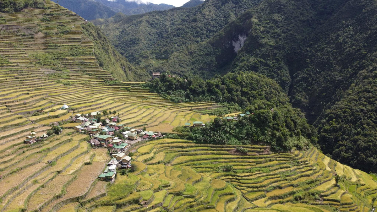 503 photos of Rice Terraces Asian Village – Fotoref