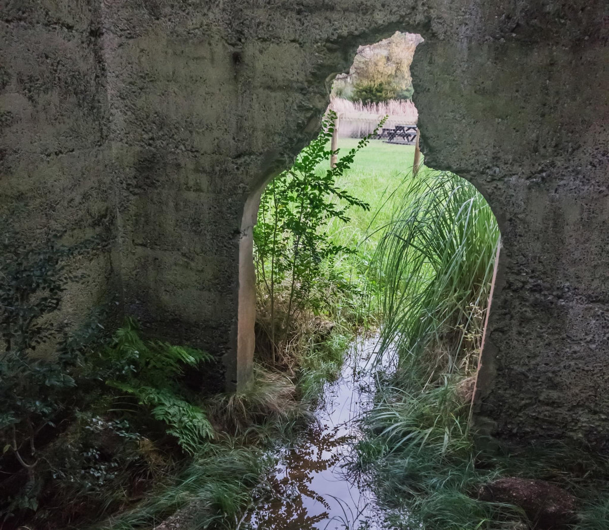 342 photos of Old Cement Factory – Fotoref