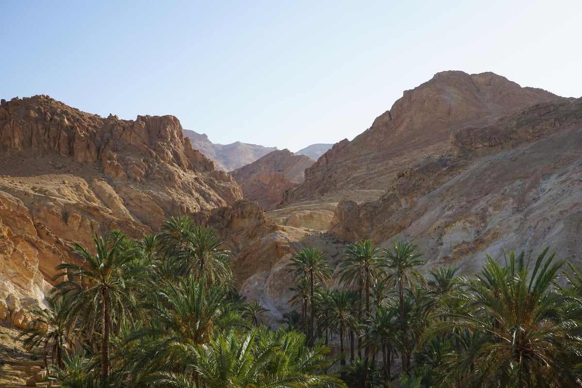 190 photos of Tunisian Desert Oasis – Fotoref