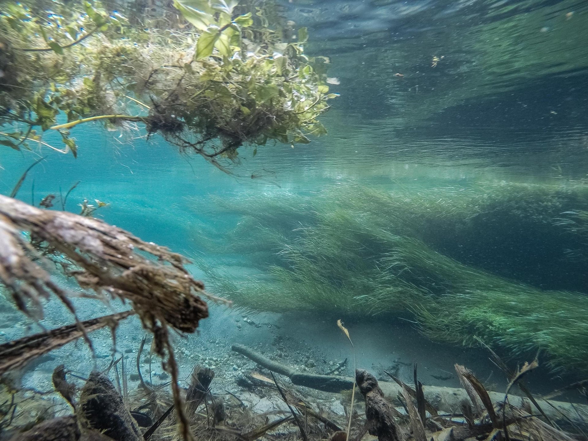 464 photos of Blue Spring – Fotoref