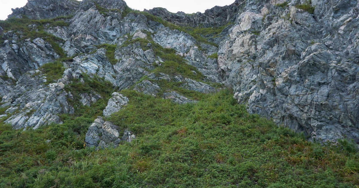 80 photos of Dark Green Rocks – Fotoref