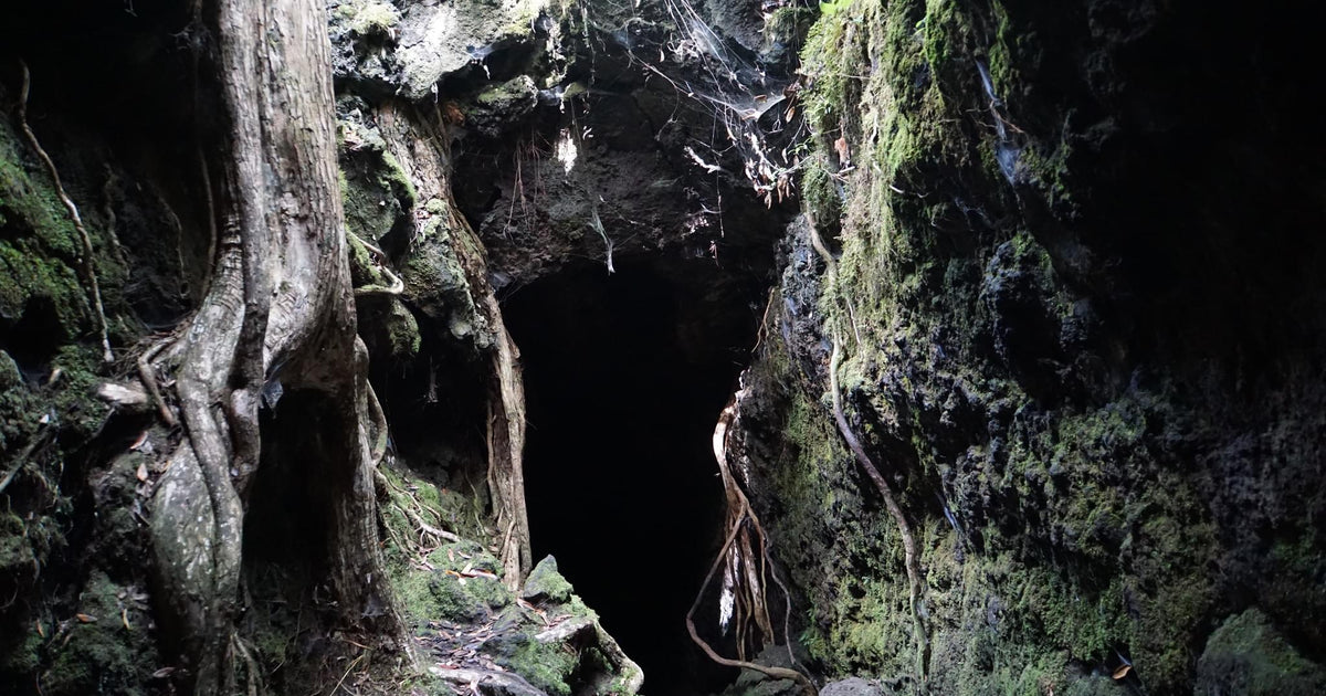 103 photos of Lava Cave – Fotoref