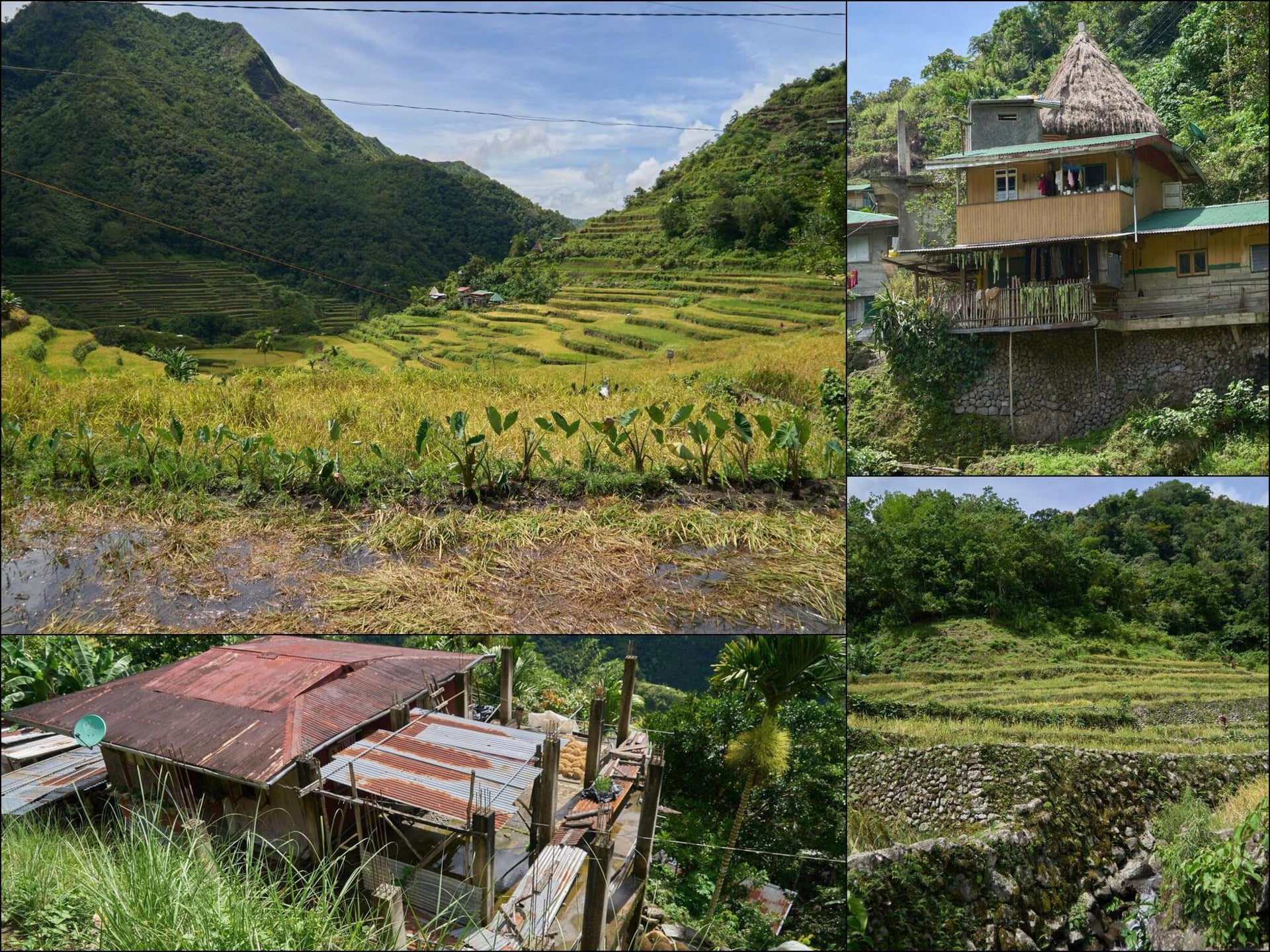 503 photos of Rice Terraces Asian Village – Fotoref