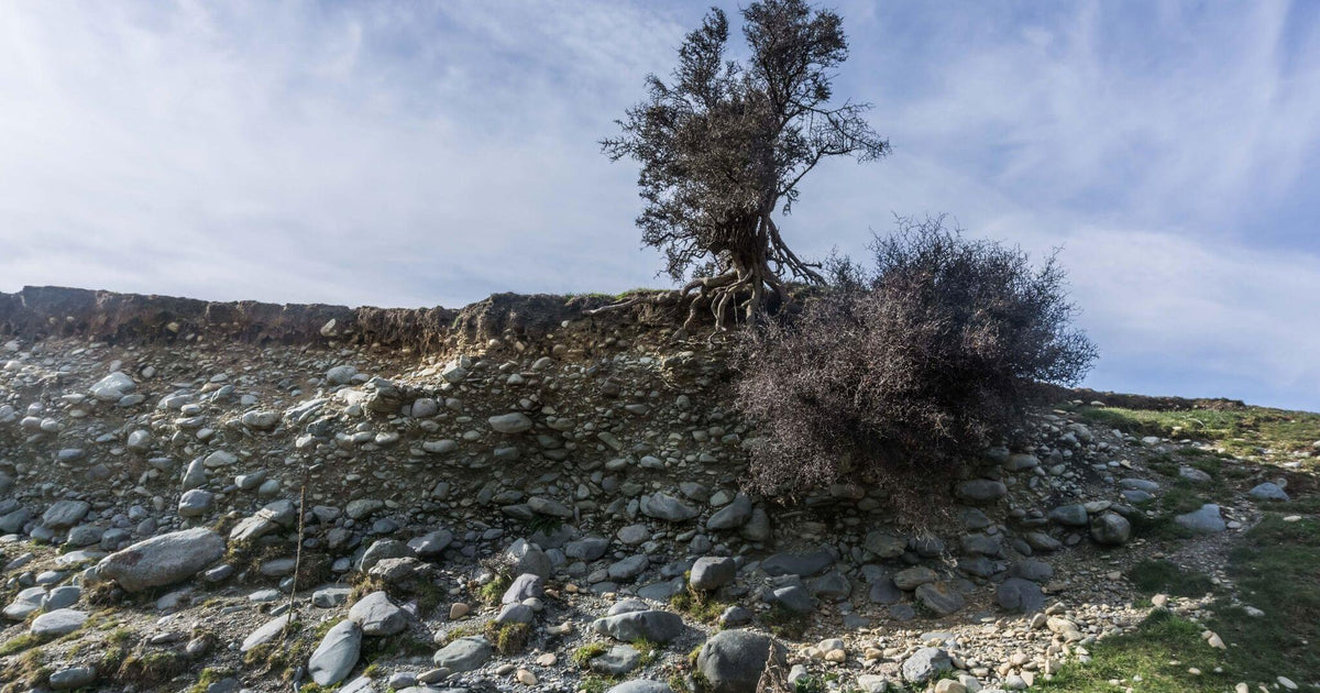 367 photos of Dry River Bed – Fotoref