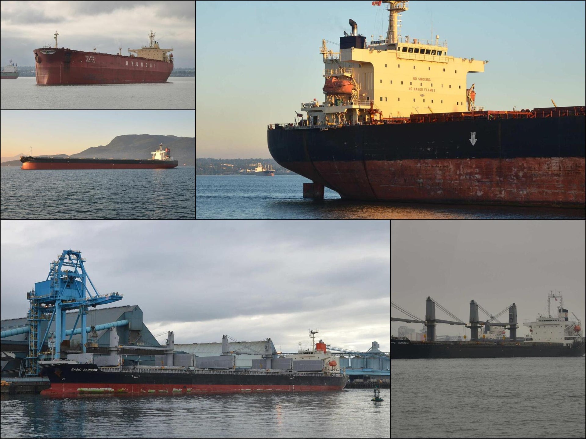 176 photos of Cargo Ships and Tankers – Fotoref