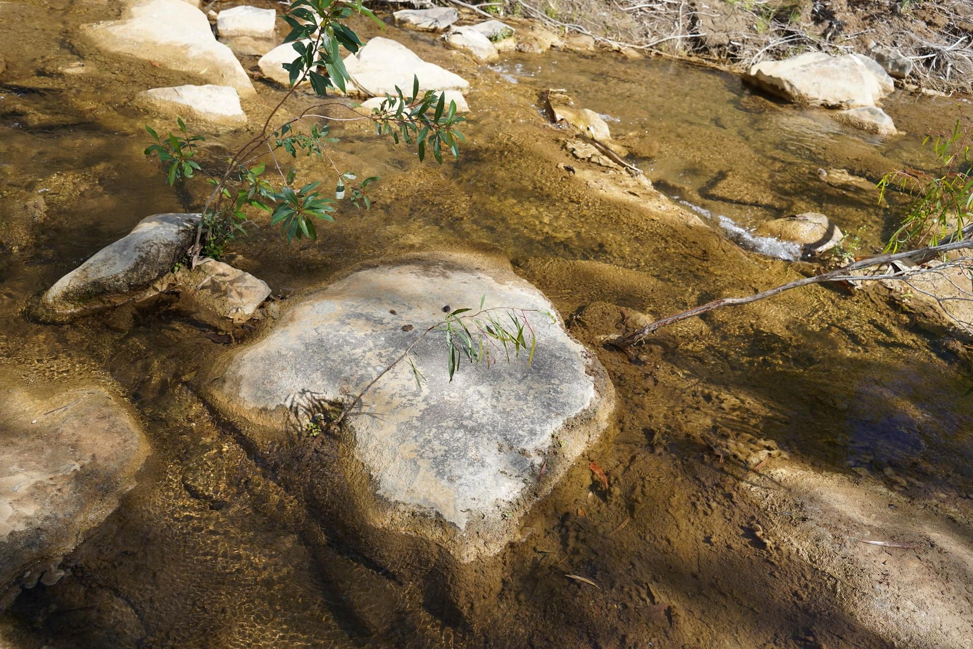 52 photos of Water Stream Drying Out – Fotoref