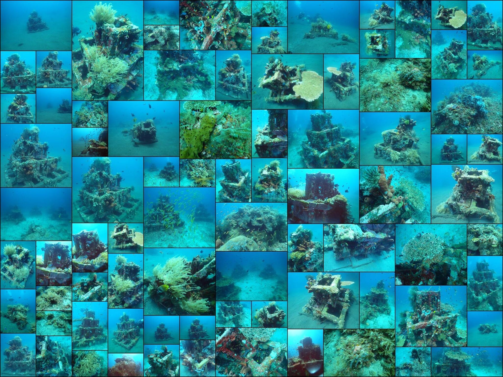 166 photos of Coral Pyramid Structures – Fotoref