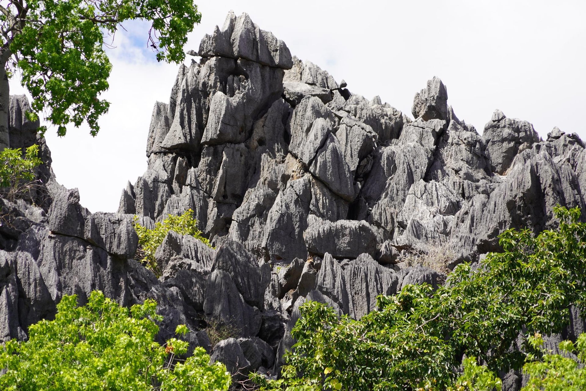 216 photos of Limestone Castle Rock Formation – Fotoref