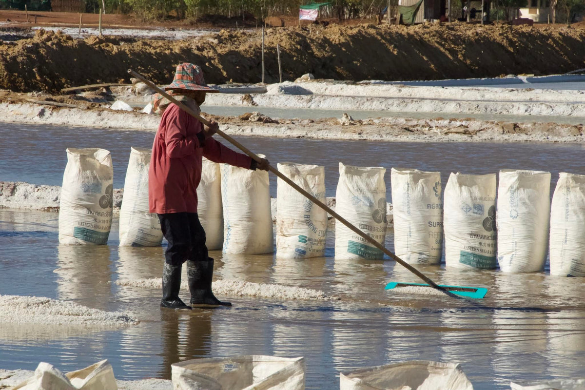 500 photos of White Salt Fields Farming – Fotoref