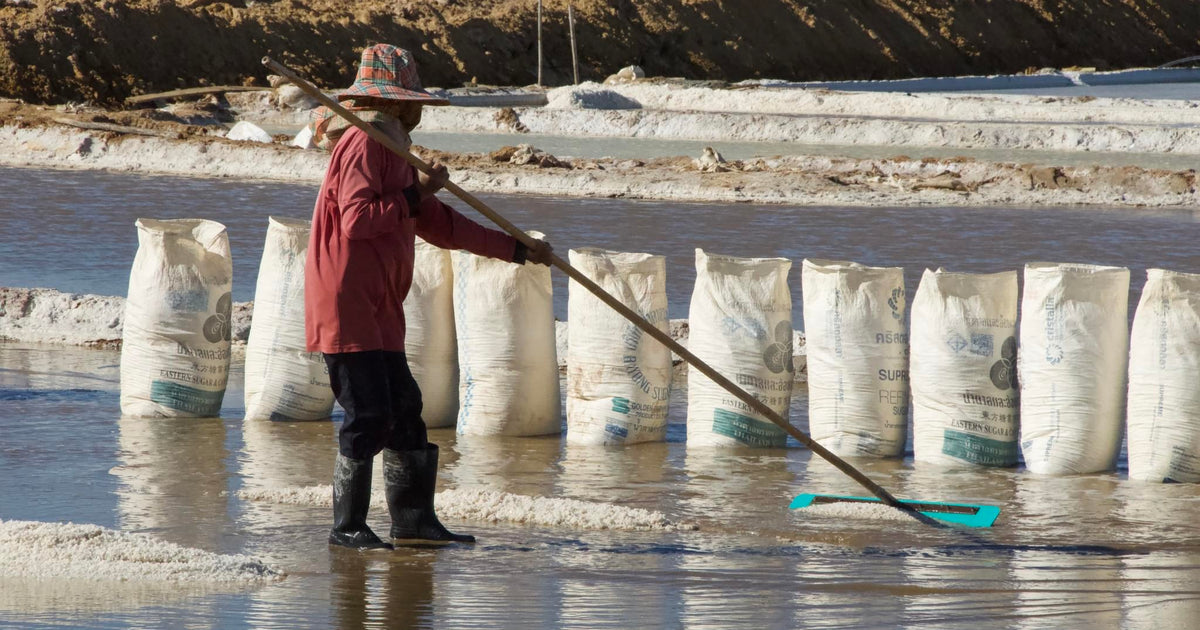 500 photos of White Salt Fields Farming – Fotoref