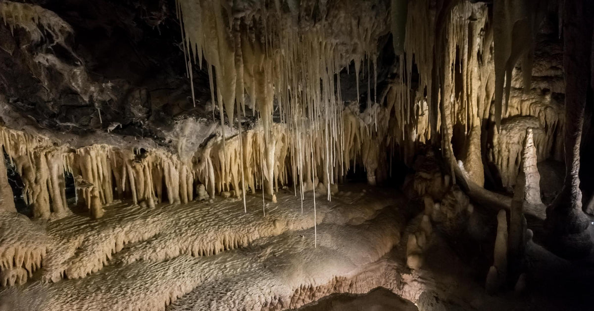 89 photos of Mole Creek Limestone Cave – Fotoref
