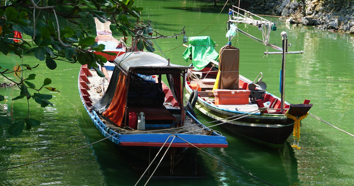 254 photos of Handmade Wooden Asian Boats – Fotoref