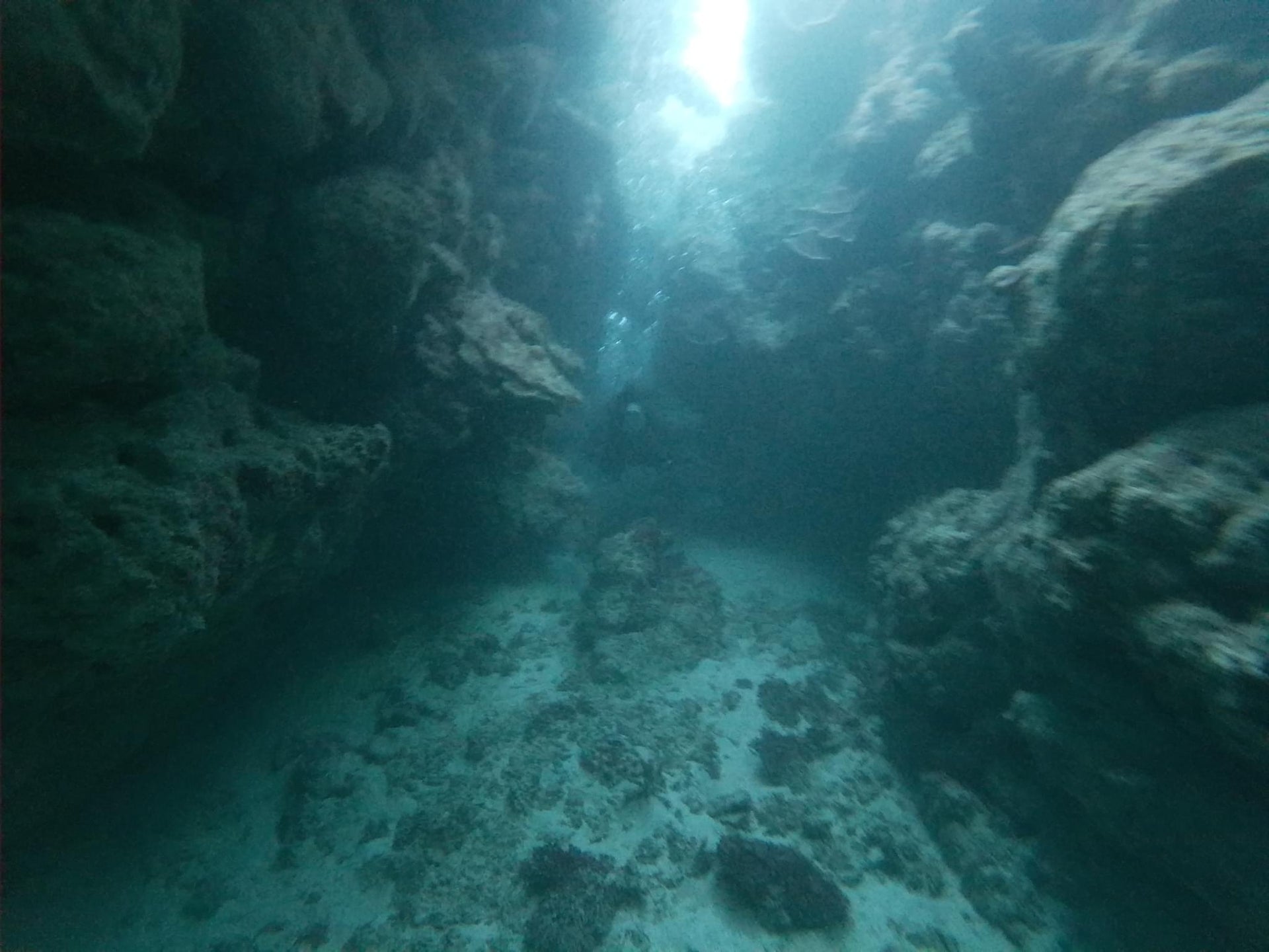 182 photos of Coral Reef Caverns – Fotoref