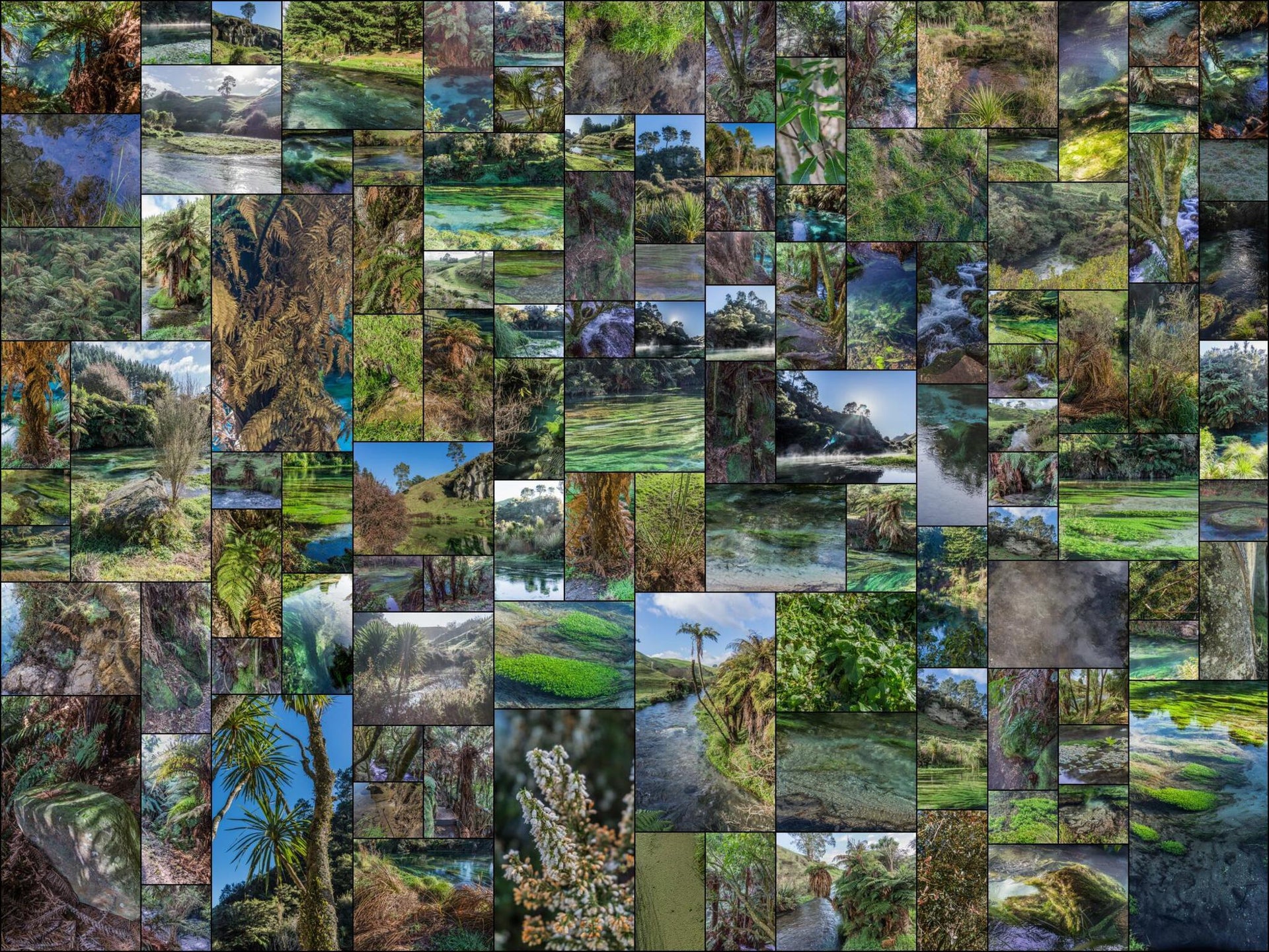 464 photos of Blue Spring – Fotoref